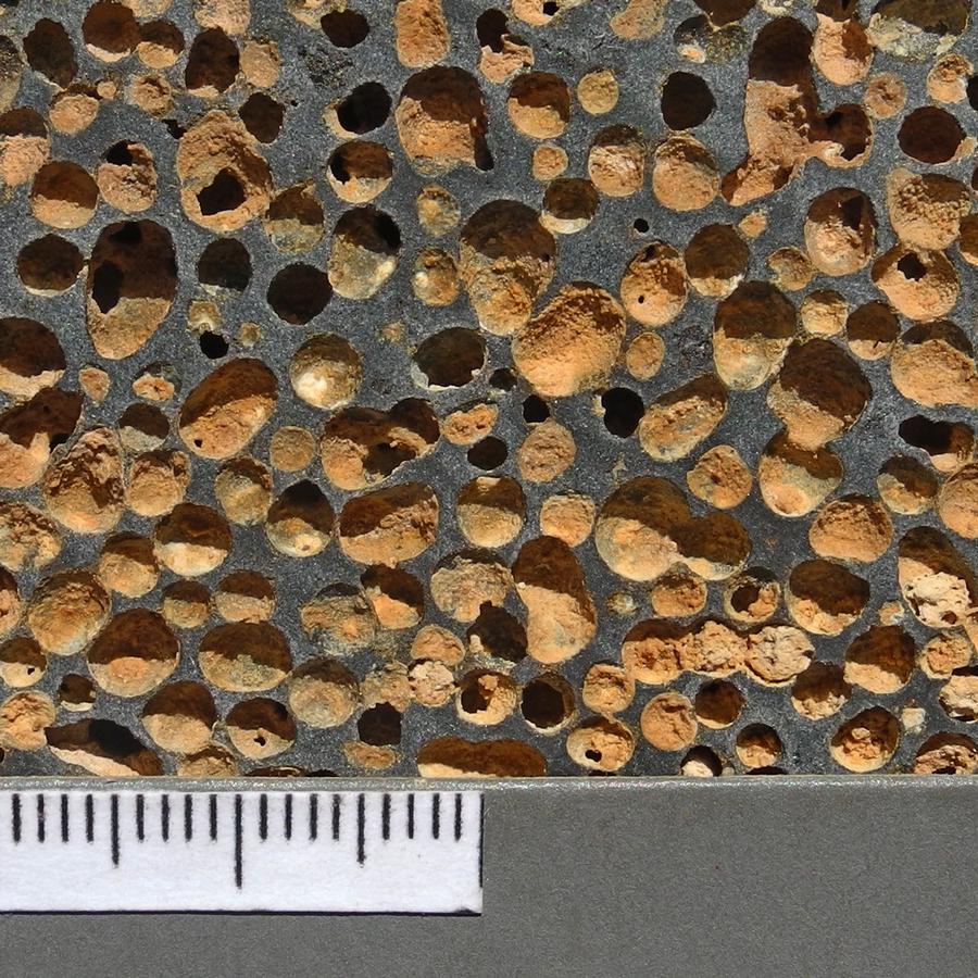 Pinacate Volcanic Field