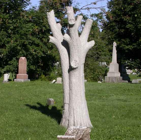 Syracuse NY Oakwood tree monument